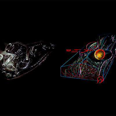 Luigi COLANI - The Modern Leonardo